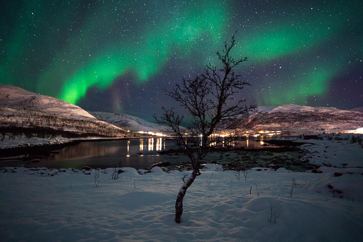 Tromsö - ANDY GRABO